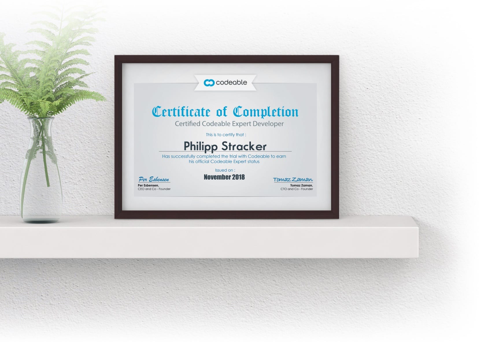 Philipp Stracker | WordPress Expert